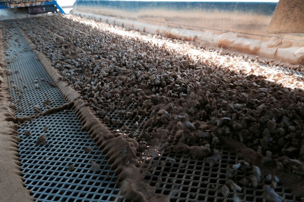 Wire Mesh Products Manufacturer and Supplier - Shitai Wire Mesh